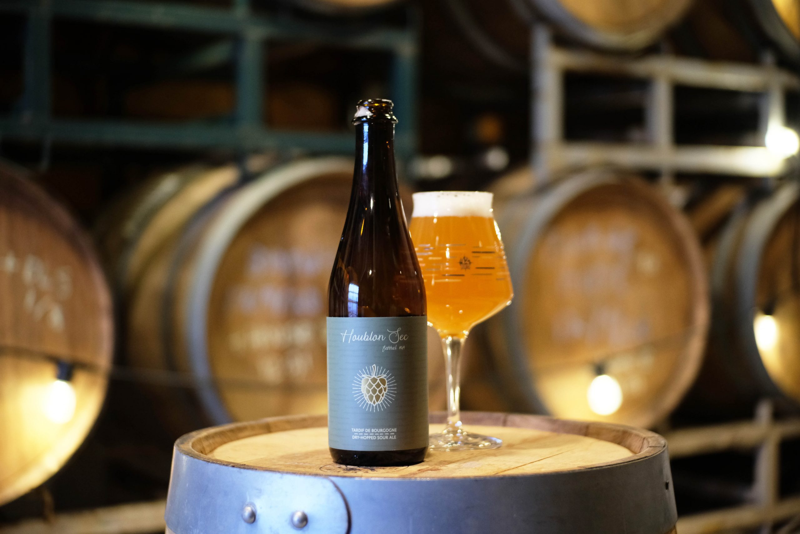 42 North Brewing to Release Four Sour Blonde Ale Variants - Buffalo ...